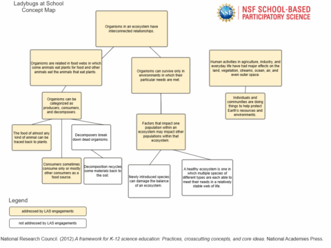 Ladybugs at School: Concept Map | School-Based Participatory Science